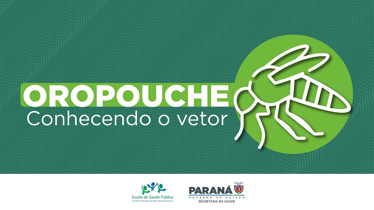 Oropouche - Conhecendo o Vetor - YouTube