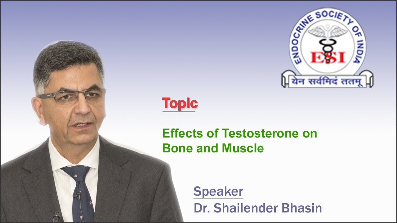 Effects of Testosterone on Bone and Muscle by Dr. Shailender Bhasin ...