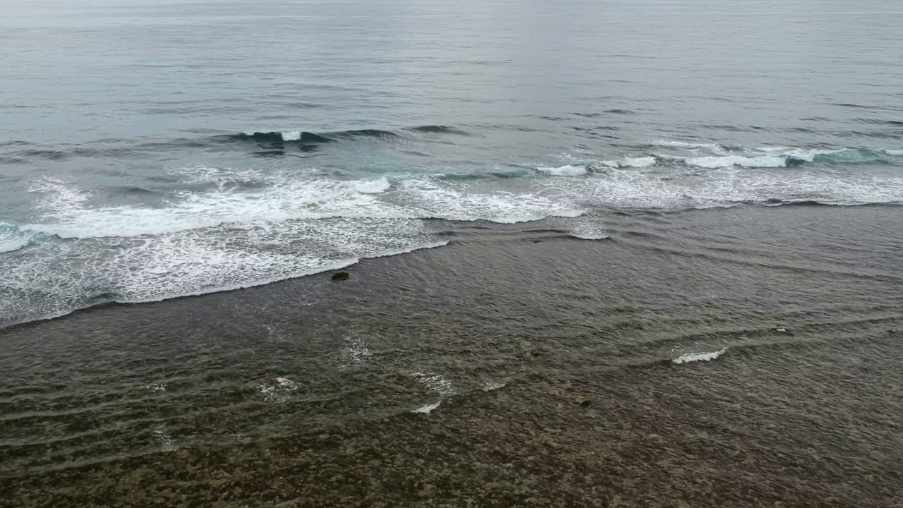 Palolo Deep Marine Reserve, Upolu Samoa - YouTube
