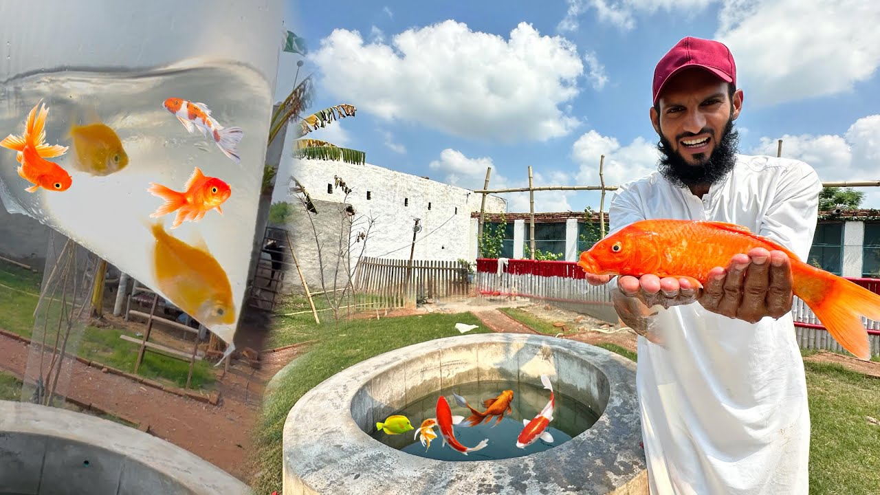 Fountain K Liye Big Fish Ly Aiye 🥰 - YouTube