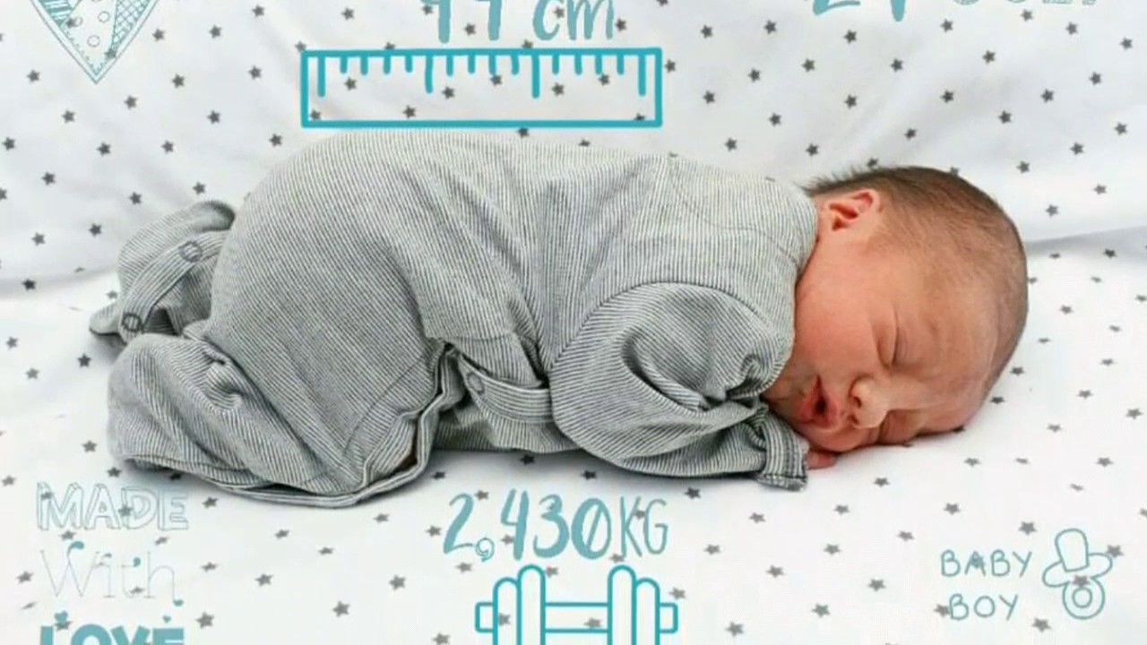 Us estimo! 🐒 🐁🐣 - YouTube