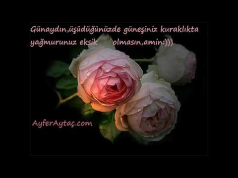 HİKMETLİ SÖZLER