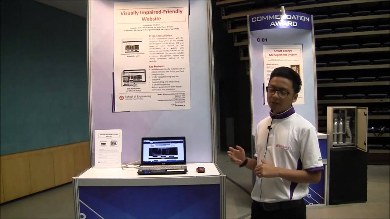 EPS 2014 - Visually Impaired Friendly Website - YouTube