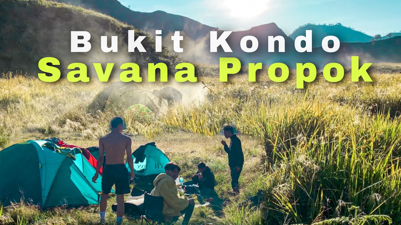 Pendakian bukit kondo savana propok dan pesona bukit savana propok di ...