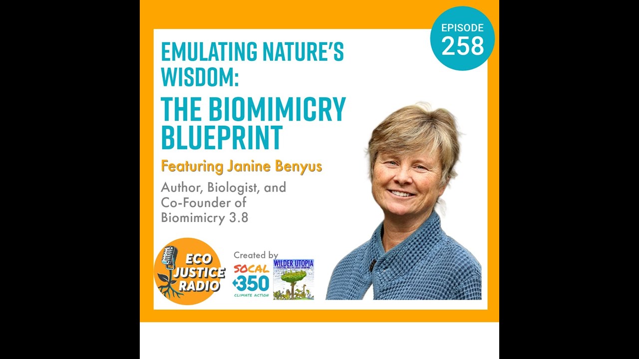 Emulating Nature's Wisdom: The Biomimicry Blueprint - YouTube
