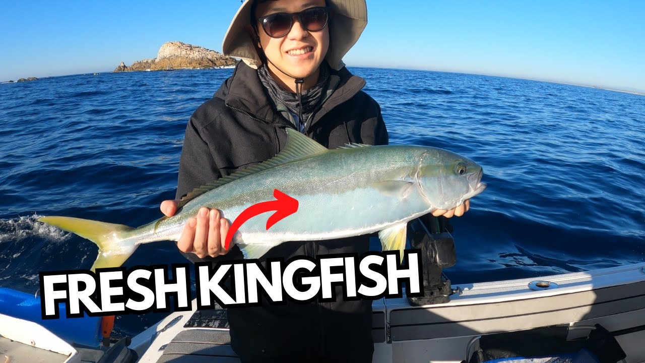 DEEP SEA FISHING CHALLENGE | Chasing Live Kingfish and Others (100m ...