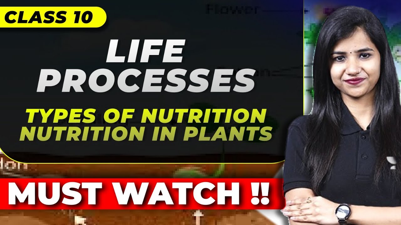 Life processes| class 10 | L2 | Types of Nutrition | Nutrition in ...