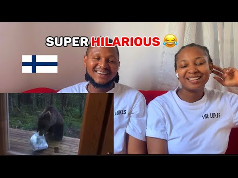 Finnish Man Scares a BEAR Away by Shouting PERKELE 🇫🇮 - YouTube