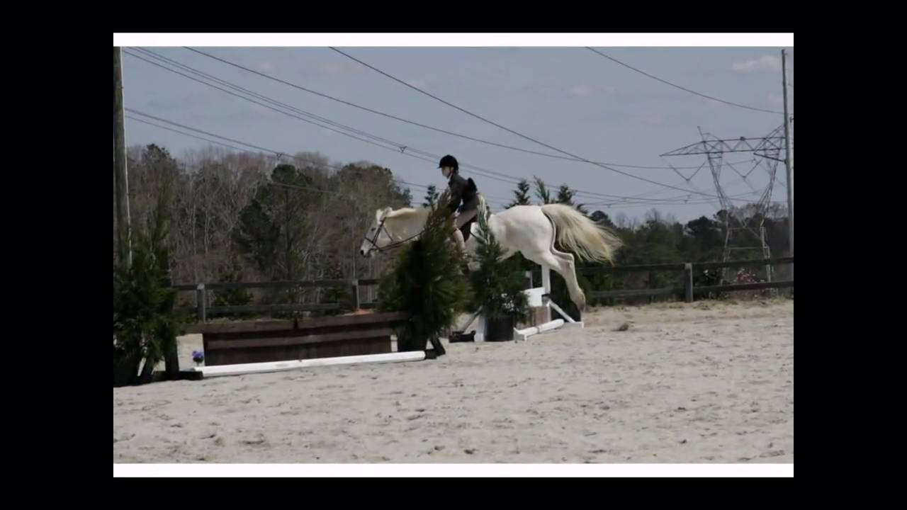 Quail Ridge Farm - Nicole - March 27th, 2010 - YouTube