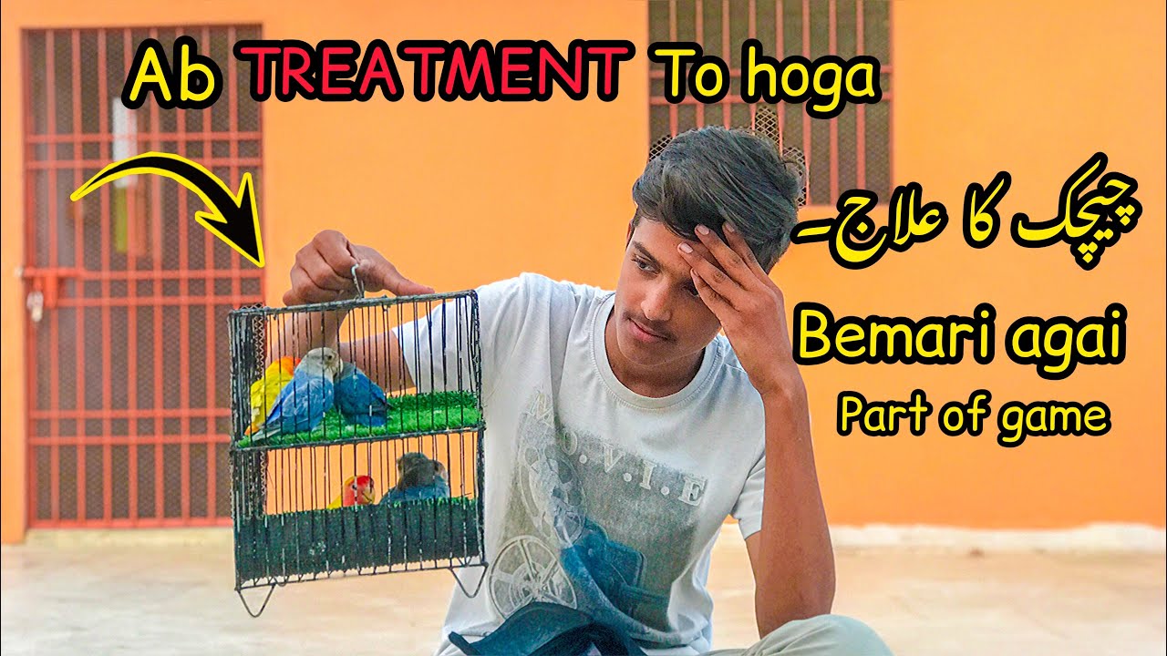 Farm mai bimari agai 😭💔 || chechak ka ilaj - YouTube