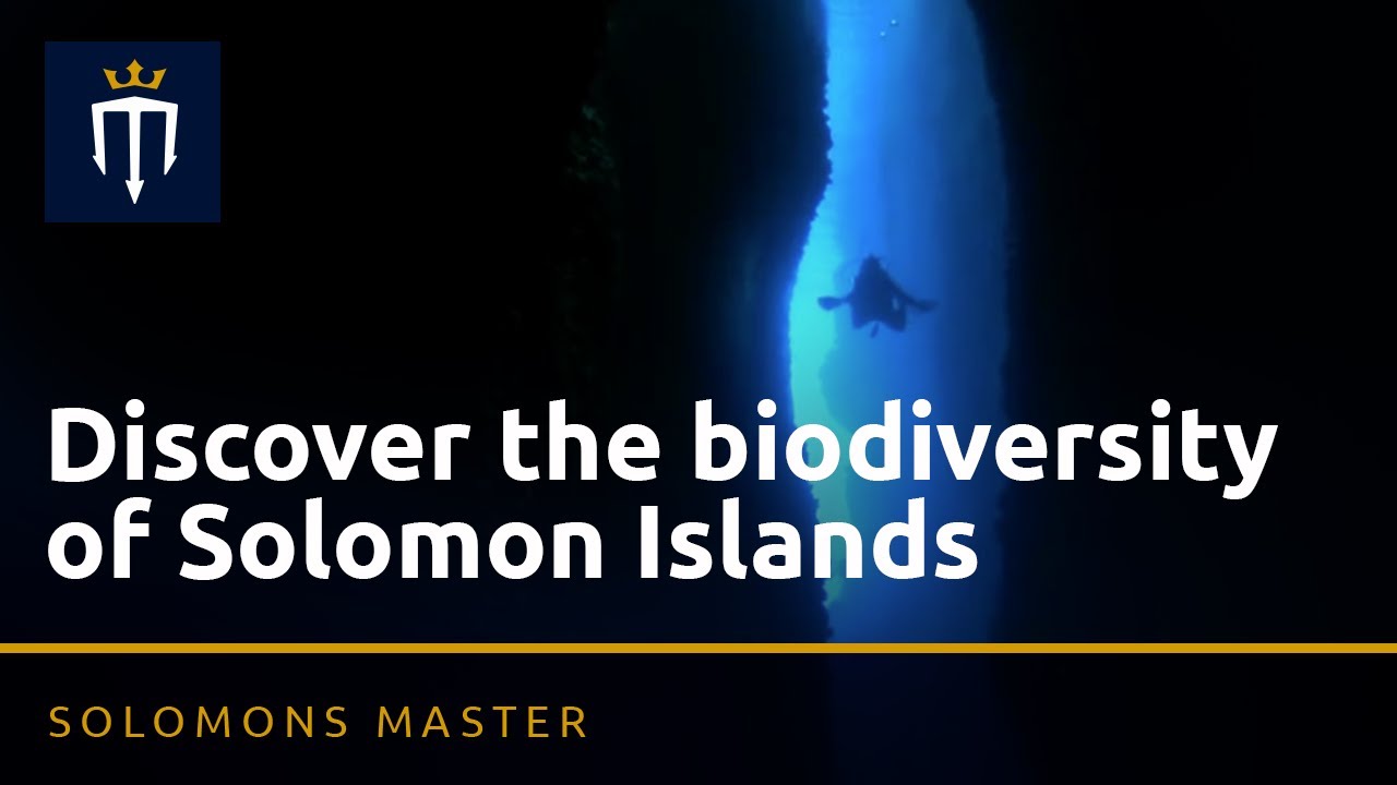Discover the biodiversity of Solomon Islands - YouTube