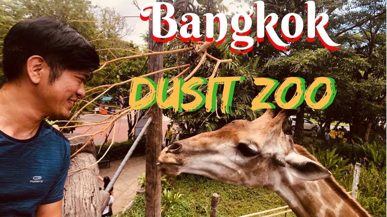 Dusit Zoo, Bangkok Thailand 杜斯特動物園 曼谷, 泰國 - YouTube