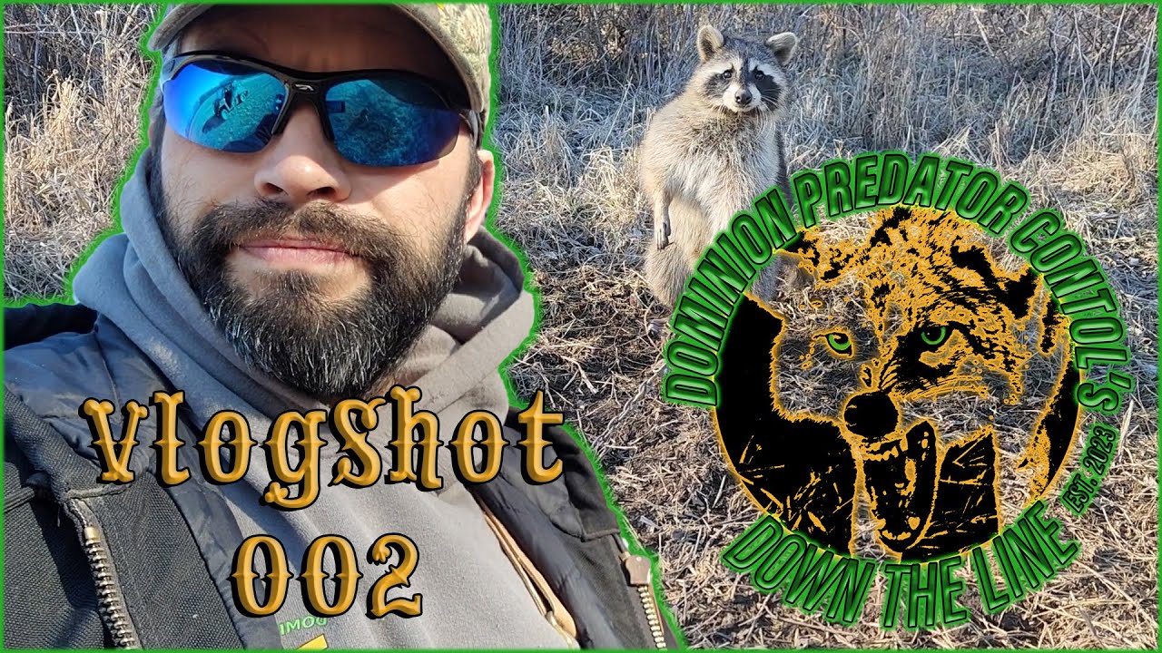 Coons Pluggin Up Cat Sets | DPC's Down The Line VlogShot002 - YouTube