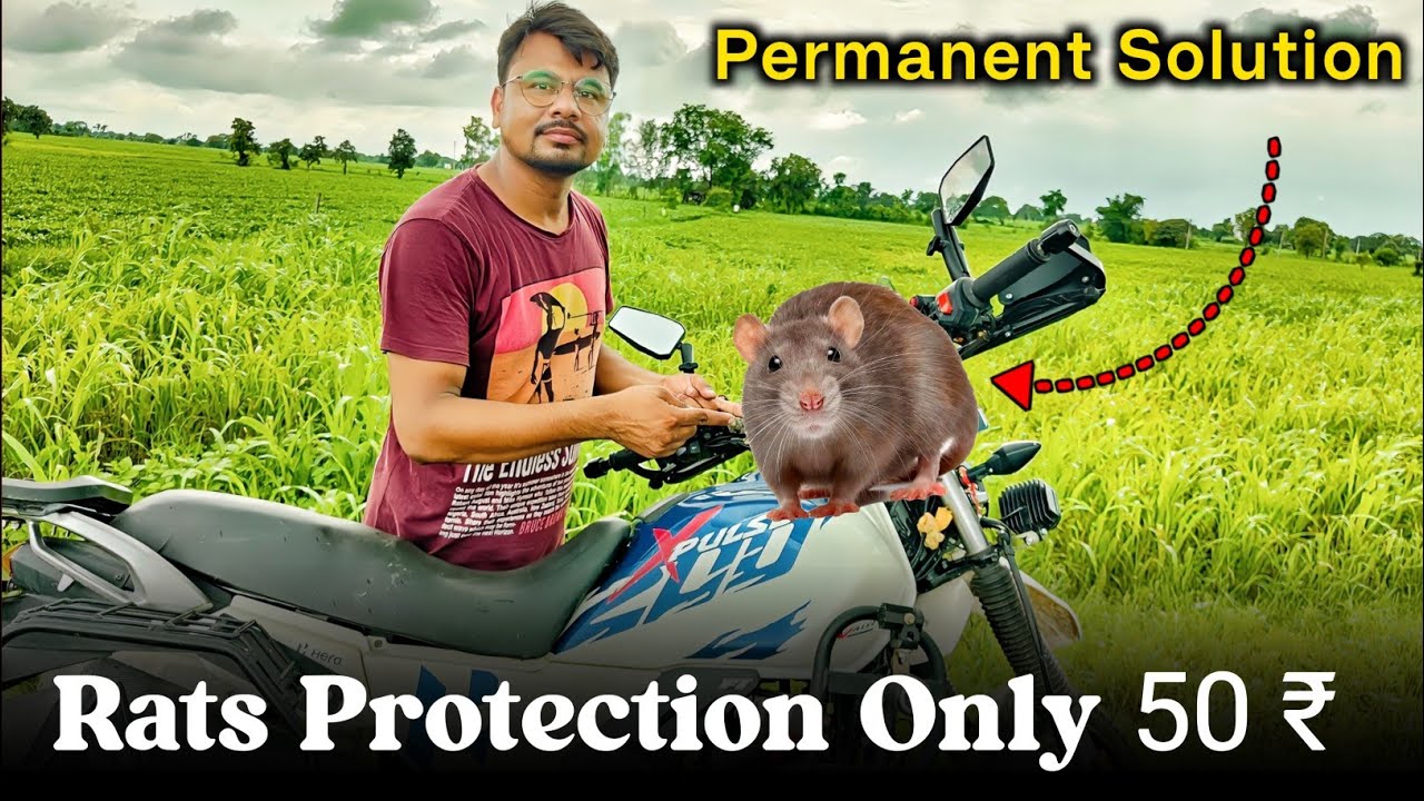 Bike की वायरिंग को चूहे से कैसे बचाएं ! How to protect bike from rats ...