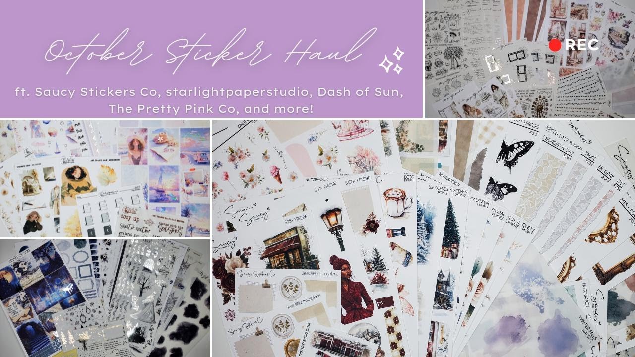 October 2024 Sticker Haul | ft starlightpaperstudio, Dash of Sun ...
