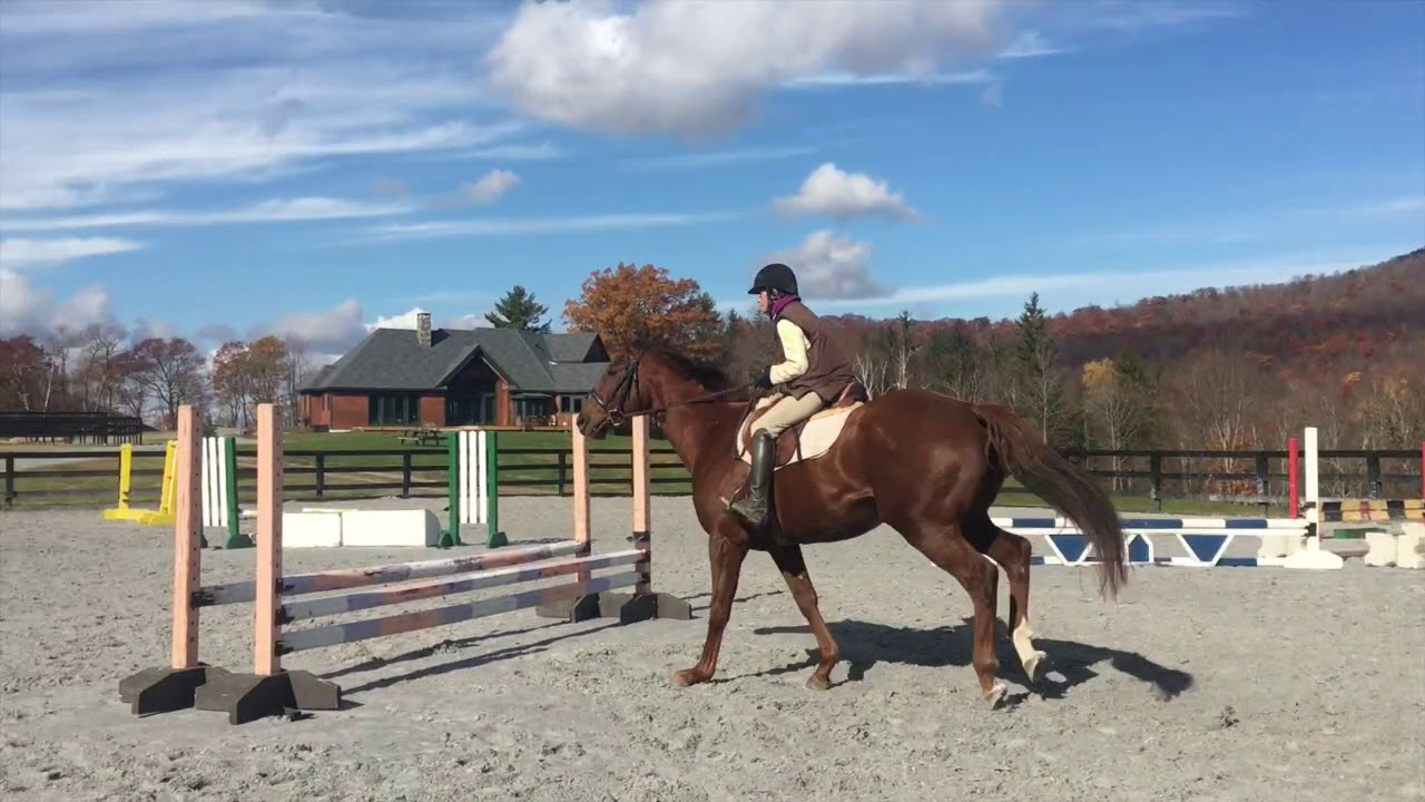 Calvin jumping October 2019 - YouTube