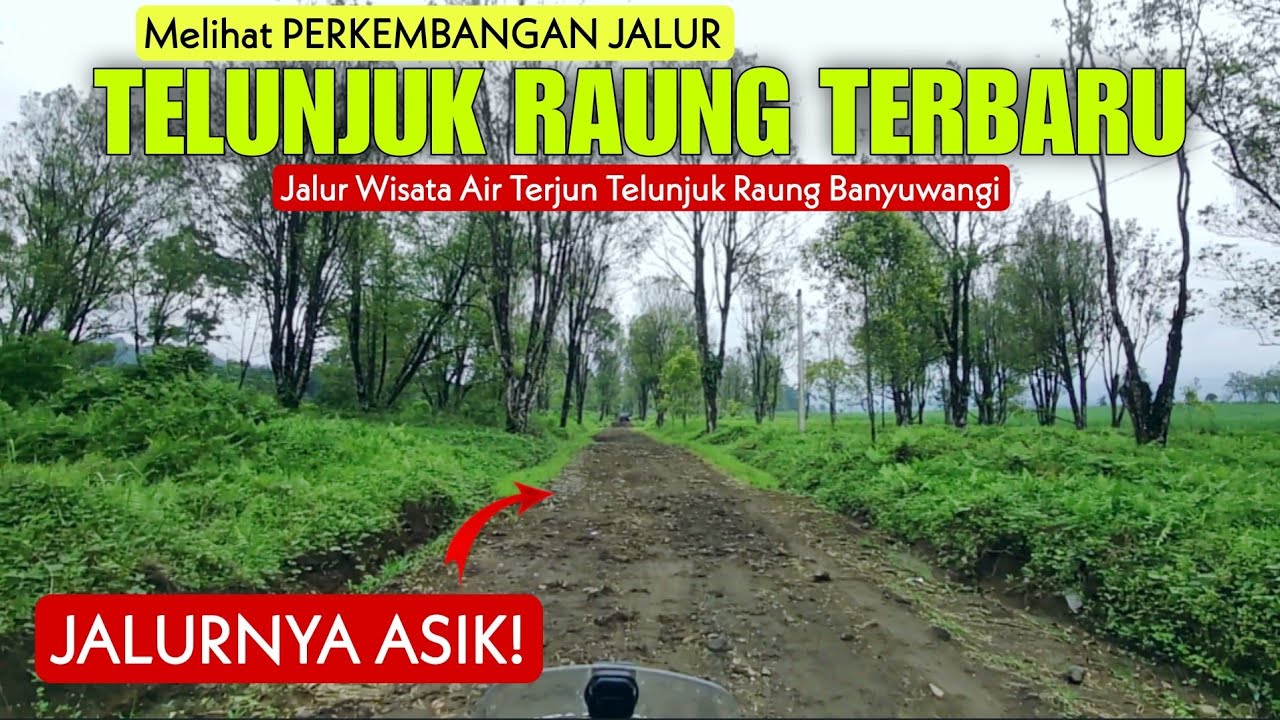 Melihat SUASANA & KONDISI Jalur ke Wisata AIR TERJUN TELUNJUK RAUNG ...