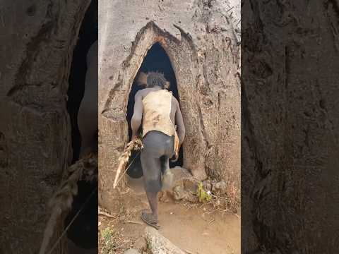 “How do tribals meet their wifes?” #shortsvideo #shortvideo #shorts