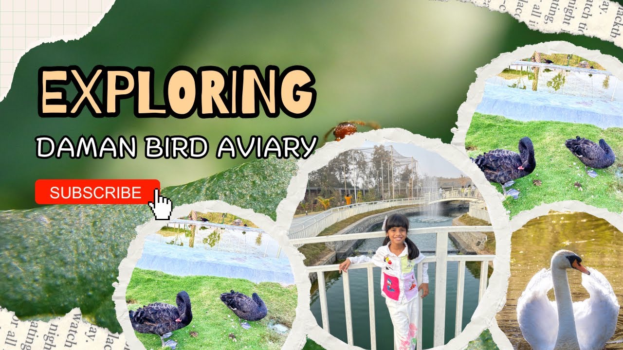 Daman Aviary | Bird Park In Daman | Near Jampore Beach - YouTube