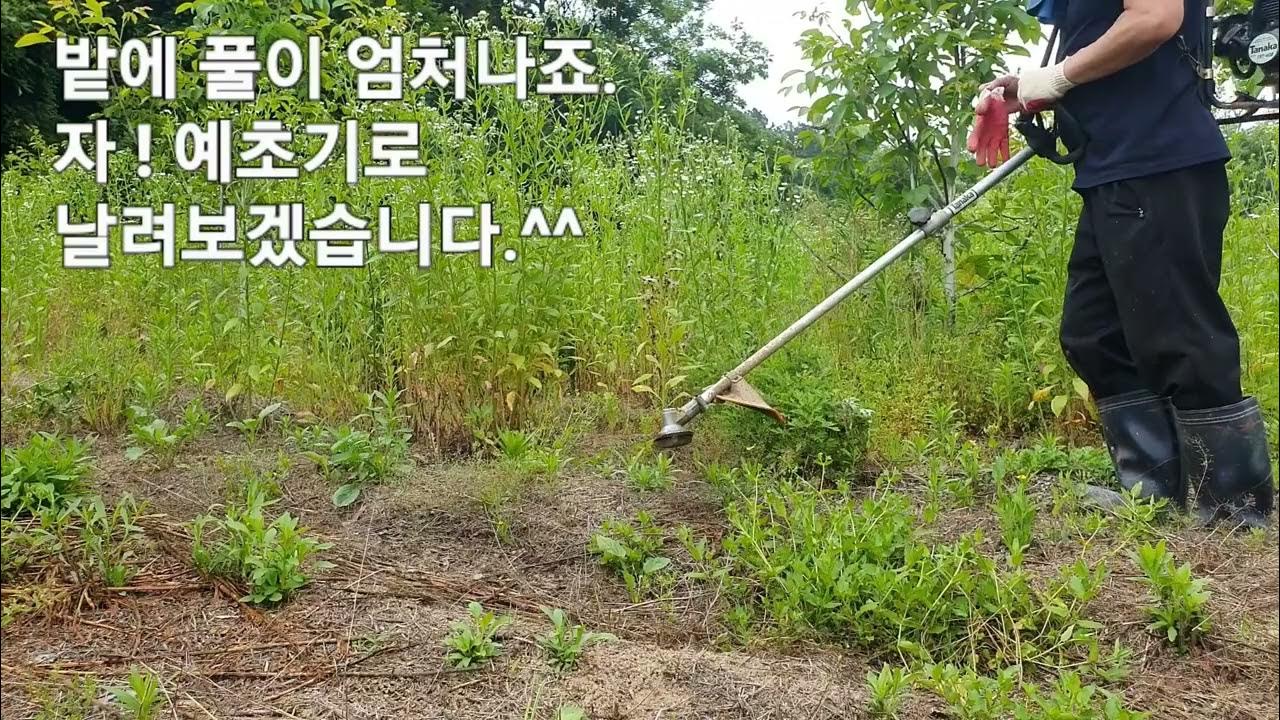 우씨 나도농부야 초보자 예초기 관리요령 Youtube