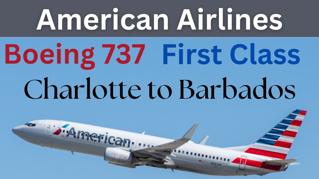 American Airlines Boeing 737 First Class Experience: Charlotte to ...