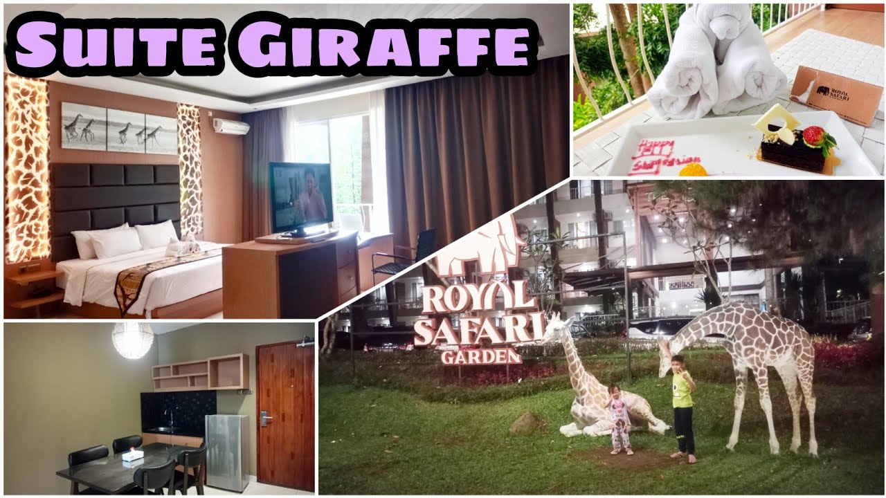 ROYALE SAFARI GARDEN TERBARU 2022 || GIRAFFE SUITE ROOM - YouTube