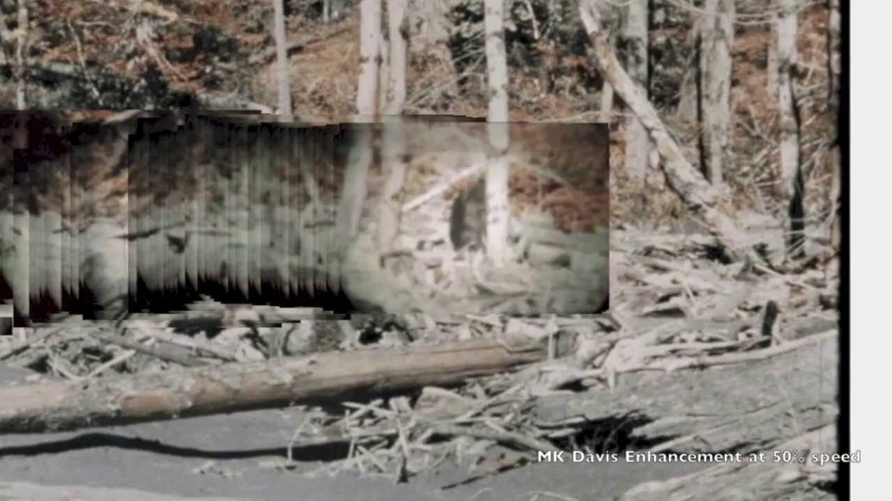 The Patterson Gimlin Film, "One Minute to film, 45 years to explain ...