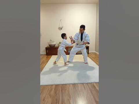 Aikido Push Hand 2 - YouTube