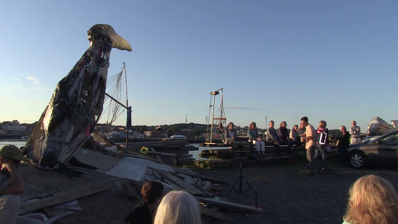 Monument To The Great Auk - YouTube