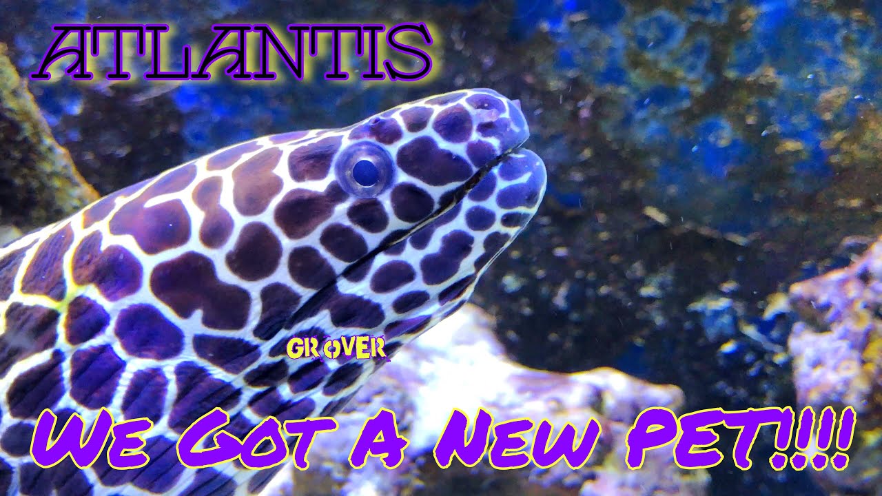WE FOUND ATLANTIS....LOOK AT WHAT WE GOT - YouTube