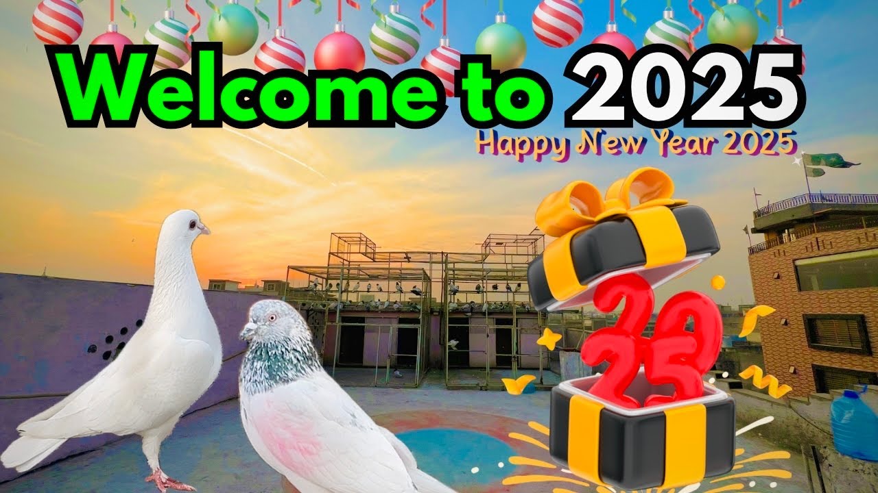 Happy New Year 2025 💕 Welcome to 2025 | Dhoke Ratta Pigeon Club ️ - YouTube