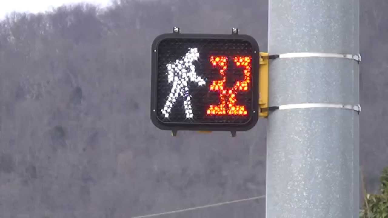 McCain Pedestrian Signal - YouTube
