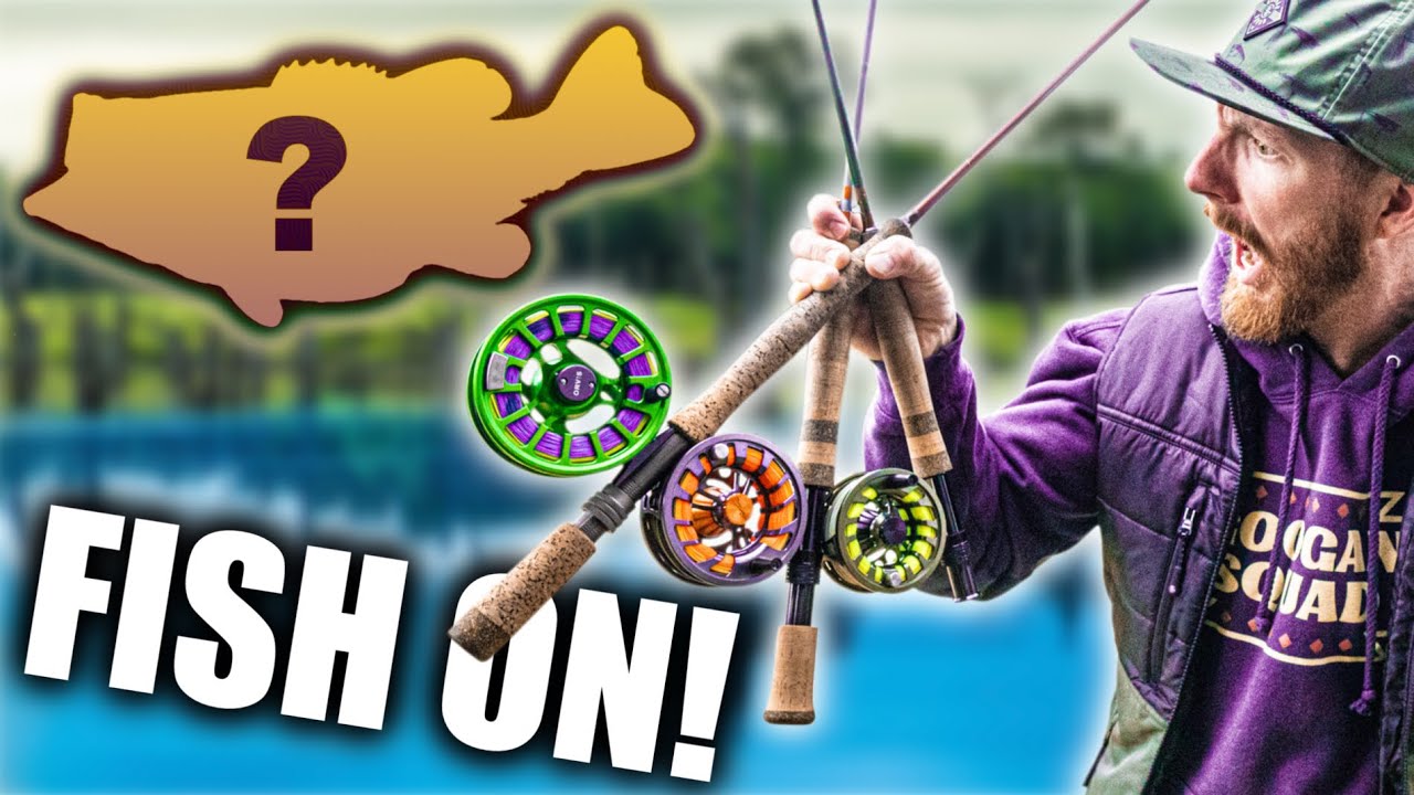 Catching Big Fish on the Fly Rod In Wooded Creek - YouTube