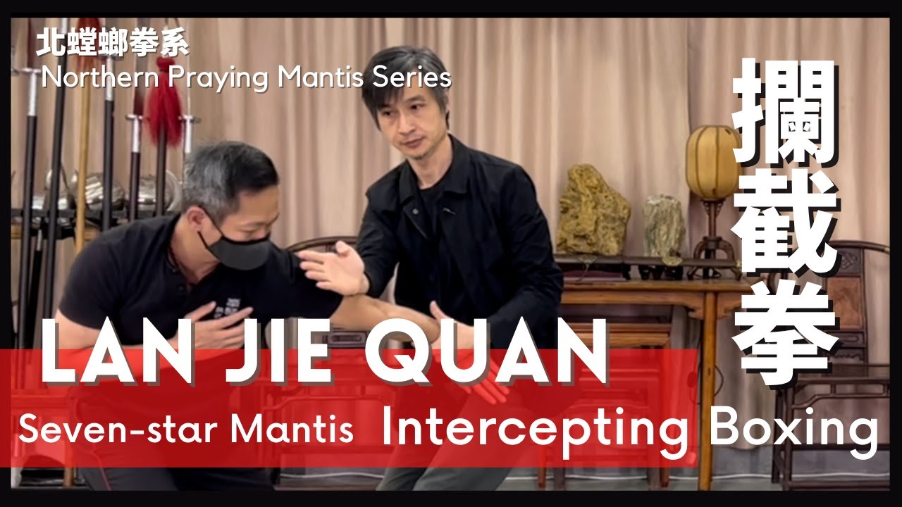 七星螳螂-攔截拳 Seven-star Mantis LanJie Quan (Intercepting Boxing) - YouTube