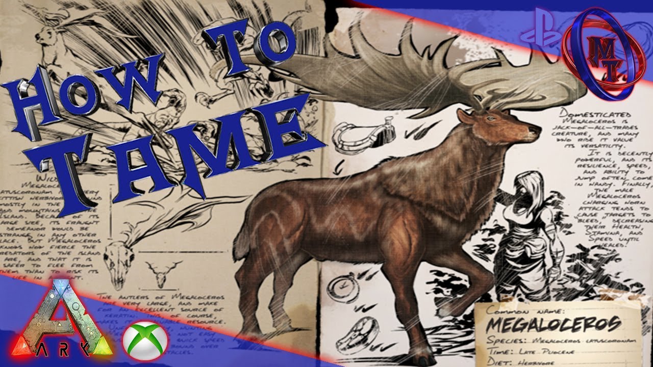 Ark Survival Evolved How To Tame Megaloceros - YouTube