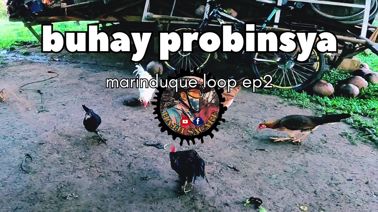 buhay probinsya(marinduque loop ep2) @DonRamondiaries - YouTube