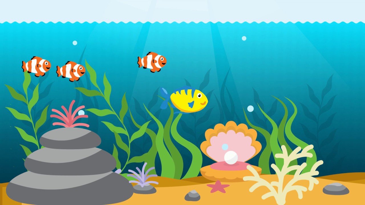 Pearly Shell - YouTube