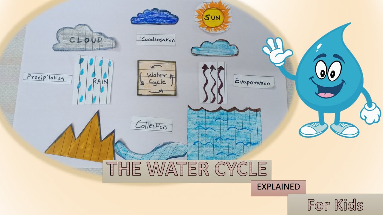 #EVS #Science Easy water Cycle for Kids | School project | Paper model ...