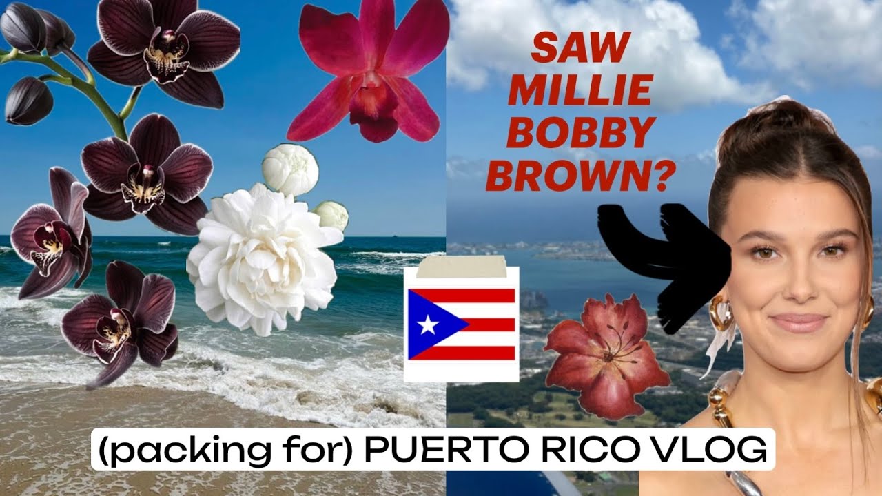 going back to my roots (puerto rico) 🇵🇷 - YouTube