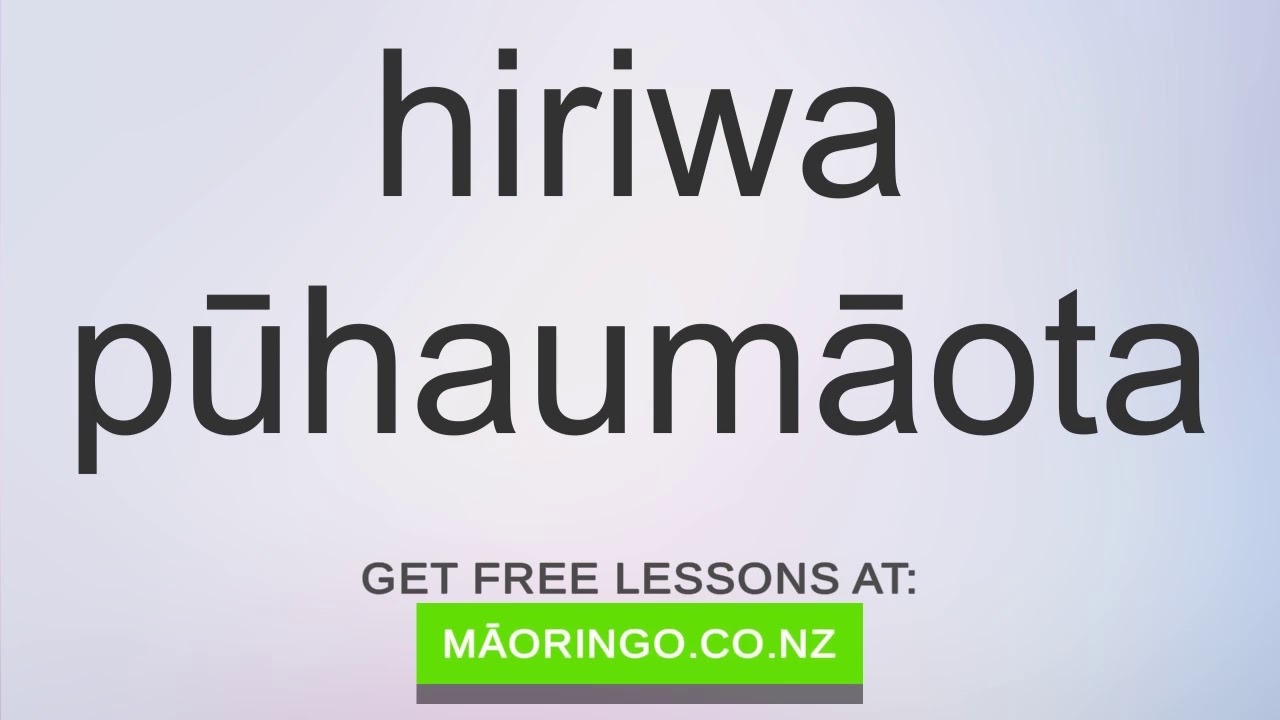 How to say " hiriwa pūhaumāota " in te reo Māori (proper pronunciation ...