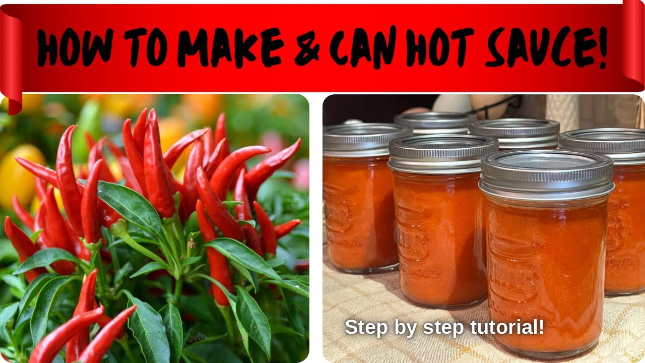 HOT SAUCE | How to Make & Can Hot Sauce From Scratch | Easy Step By ...