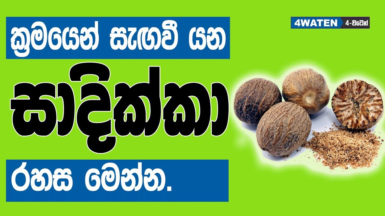 ක්‍රමයෙන් සැඟවී යන සාදික්කා රහස මෙන්න : Benefits of Nutmeg - YouTube