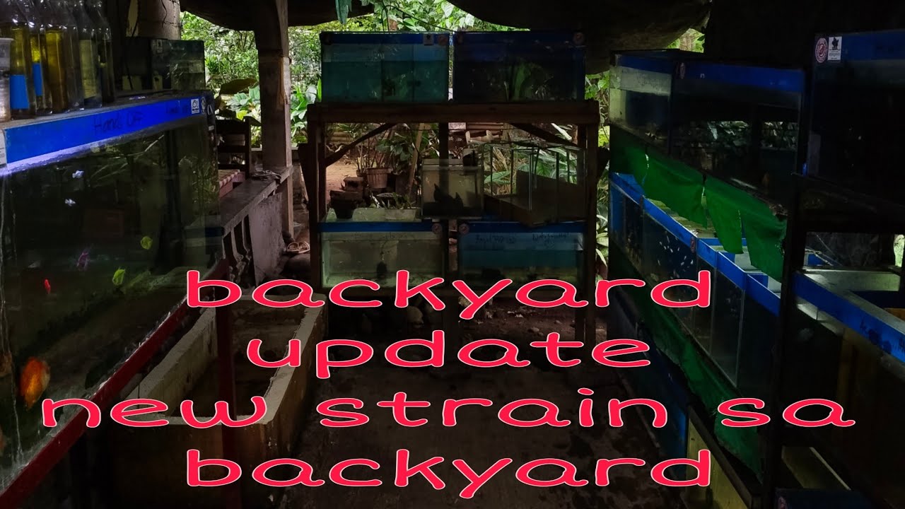 NEW MOLLY STRAIN IN MY BACKYARD - YouTube