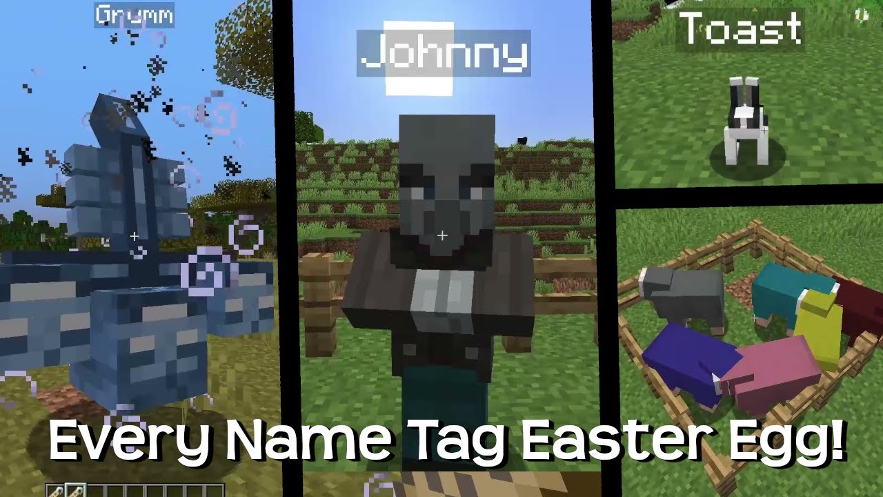 Every Minecraft Name Tag Easter Egg In 1 Minute! - YouTube