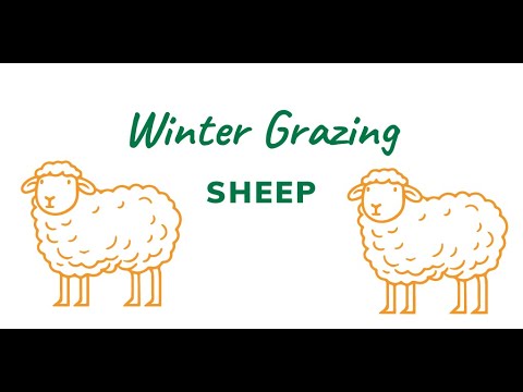 Winter Grazing Systems: Rotational Grazing Success with Electric ...