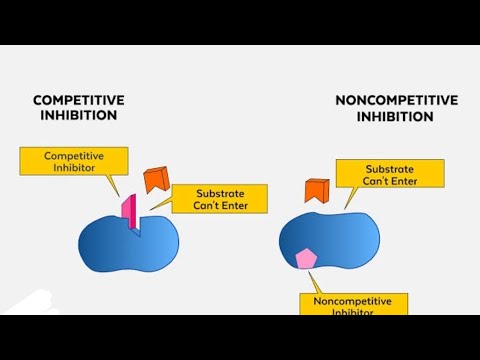 Biochemistry1 enzymes inhibitions - YouTube
