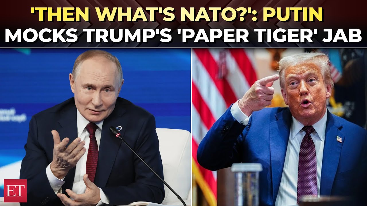 ‘If Russia is a paper tiger, then what’s NATO?’: Putin mocks Trump ...