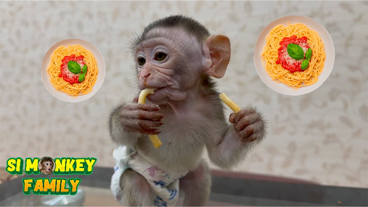 Baby monkey Si and mom cook spaghetti. So delicious! - YouTube
