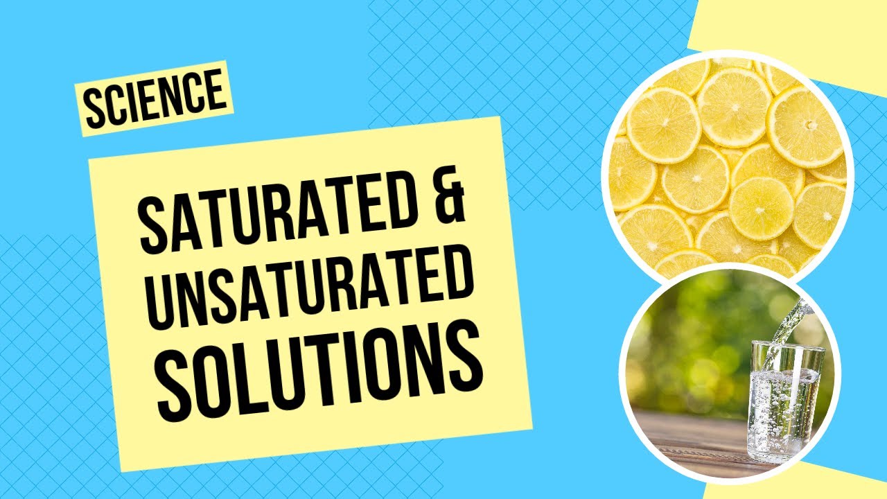 Saturated And Unsaturated Solutions Science Lesson YouTube
