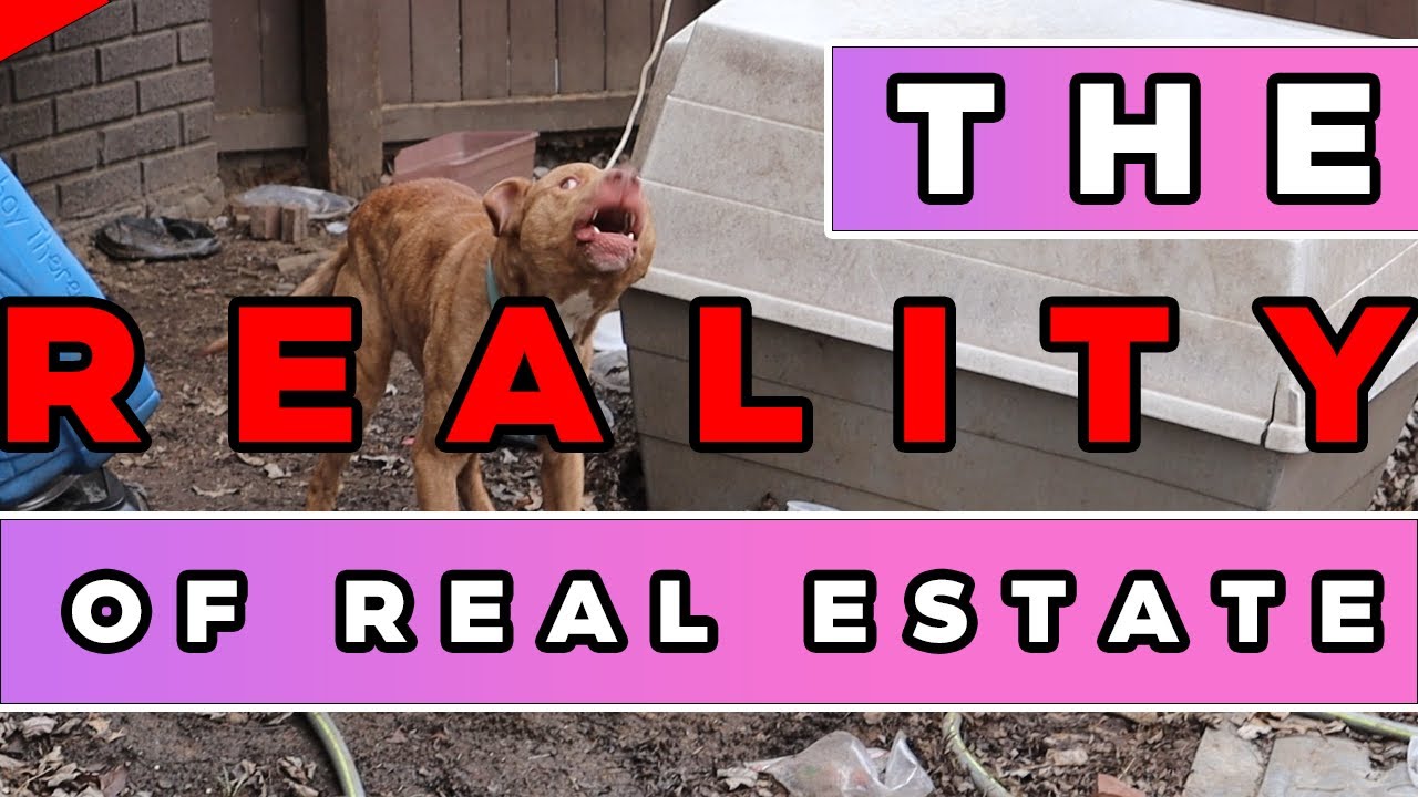 The REAL Side of Real Estate... - YouTube